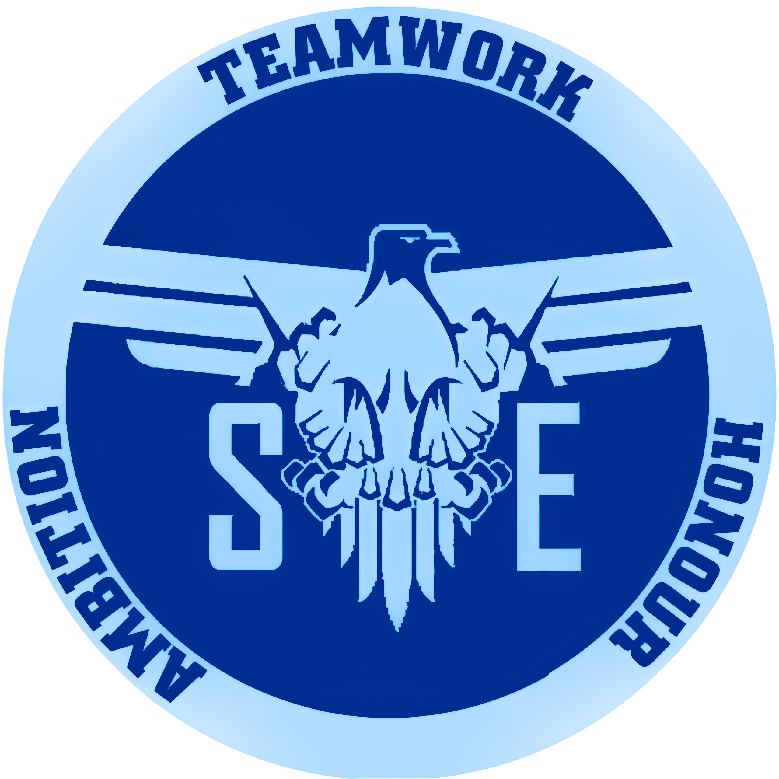 Soaring Eagles | Aerial Robotics Club - Drones & RC Planes